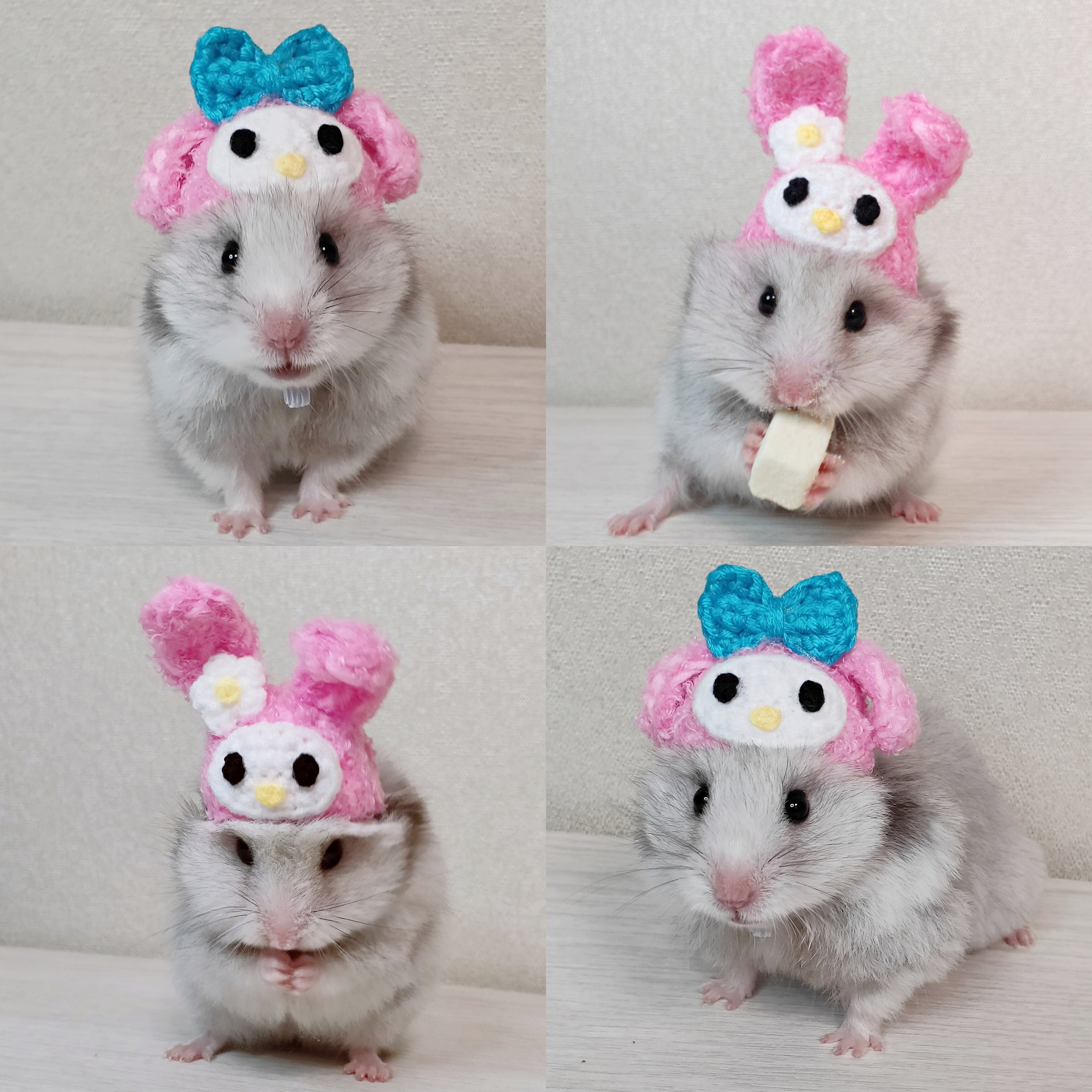 Cute Hamsters In Clothes