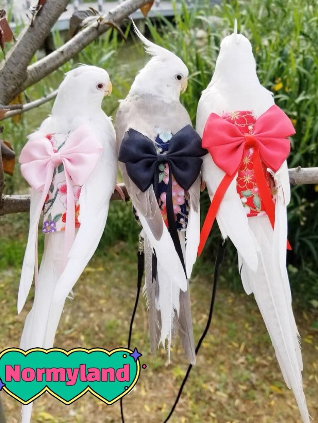 Handmade Parrot Bird Clothes With Diaper Kimono-quakers/cockatiel-1 - Etsy