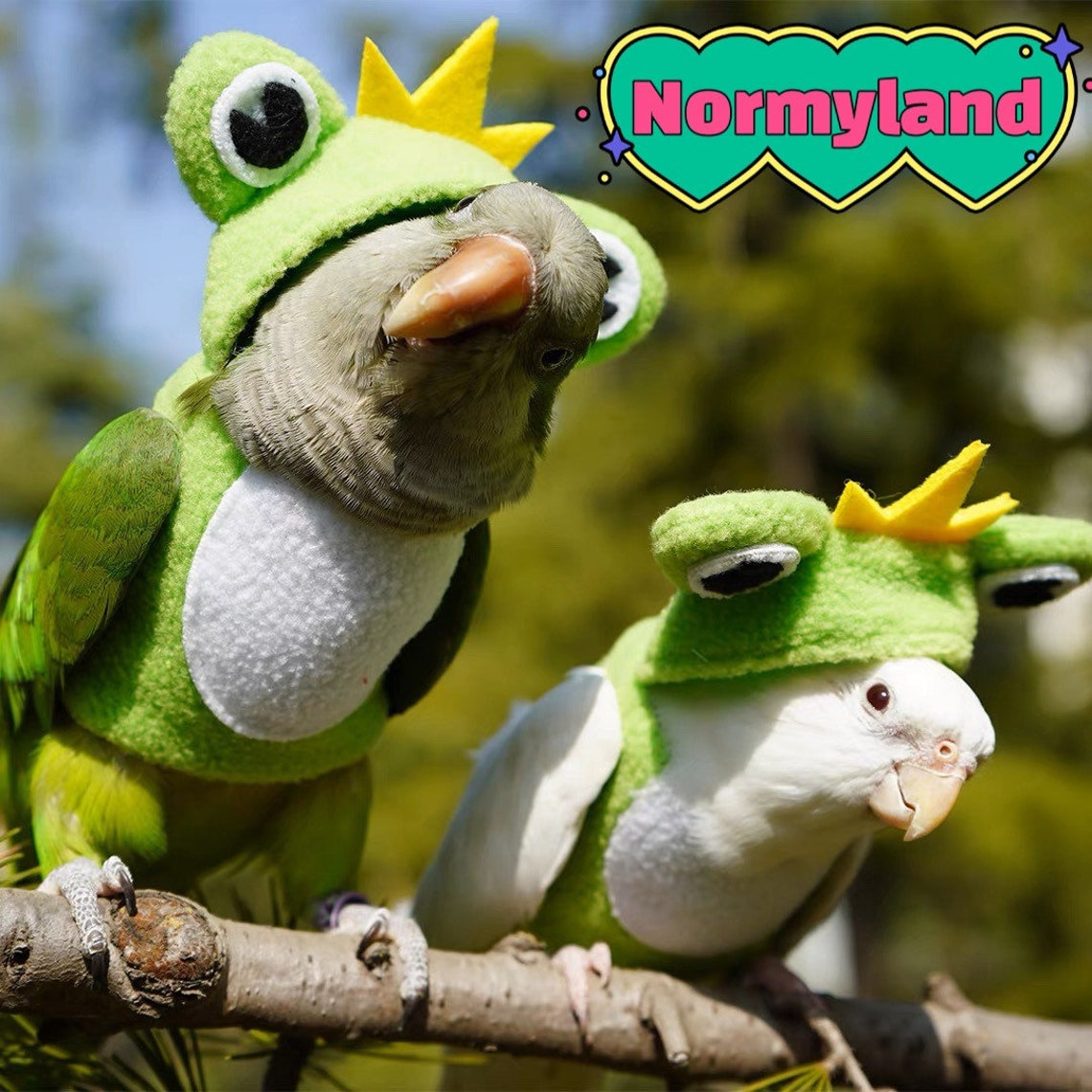 Handmade Parrot Bird Prince Frog Clothes With Diaper/shirt -quakers ...