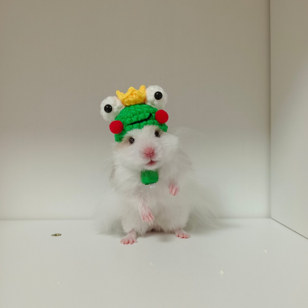 Frog Prince Pet Hat Gifts- Hedgehog/hamster/squirrel/guinea Pig/rat ...