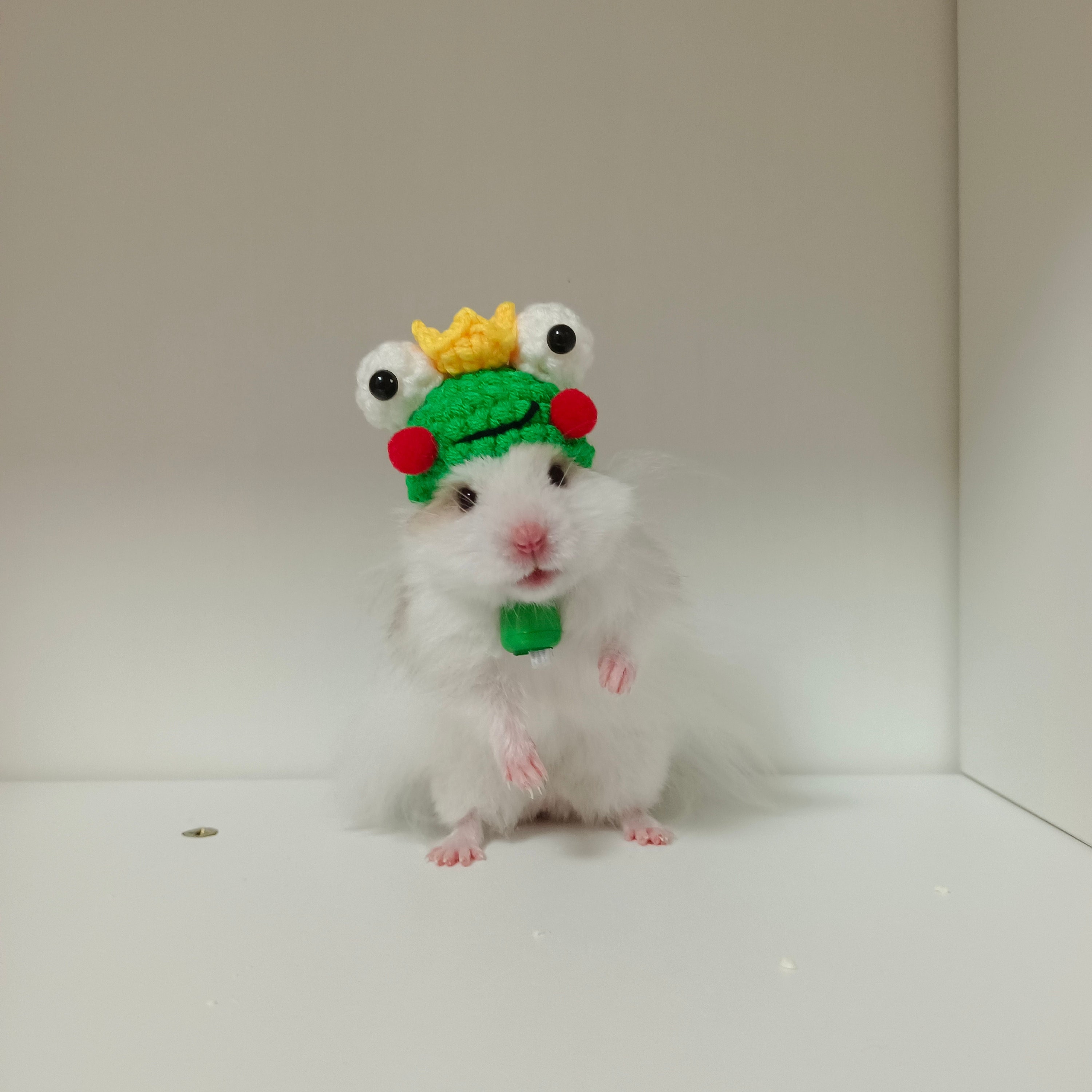 Frog Prince Pet Hat Gifts- Hedgehog/hamster/squirrel/guinea Pig/rat ...