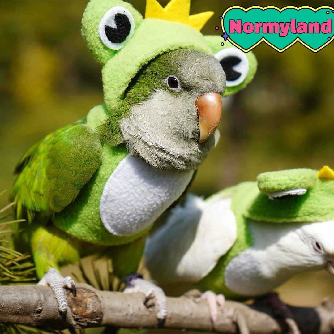 Handmade Parrot Bird Prince Frog Clothes With Diaper/shirt -quakers ...