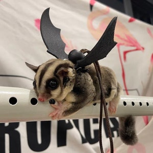 Bat Wings Harness Pet Leash Collar Set Halloween Costume/gifts-syrain ...