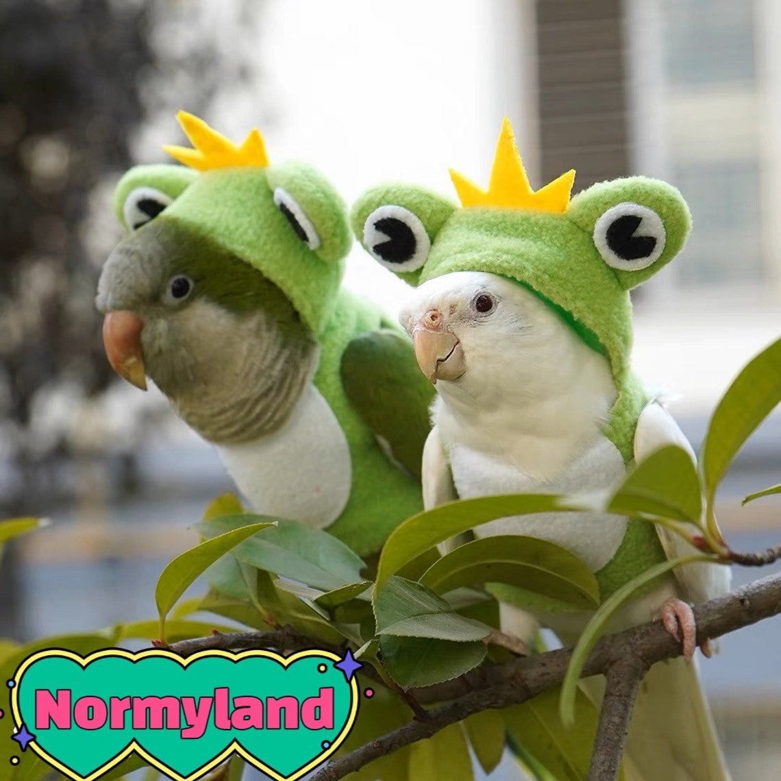 Handmade Parrot Bird Prince Frog Clothes With Diaper/shirt -quakers ...