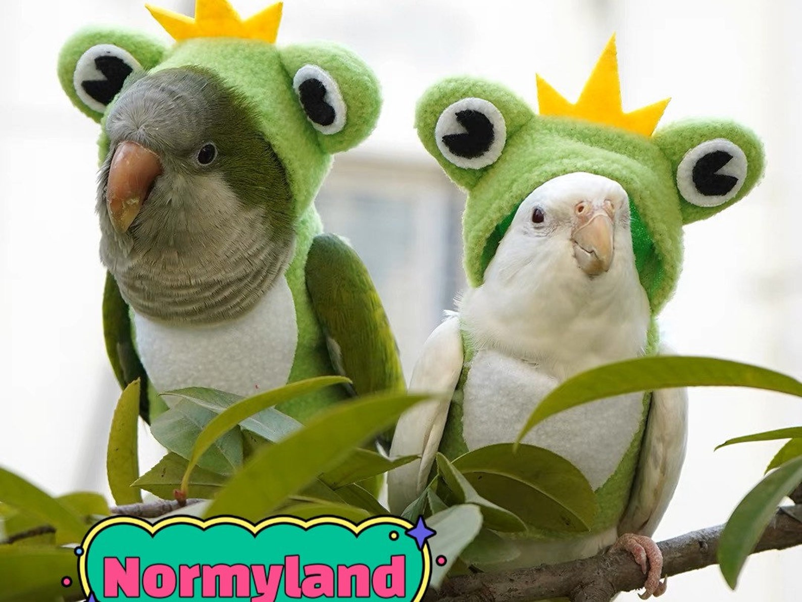 Handmade Parrot Bird Prince Frog Clothes With Diaper/shirt -quakers ...