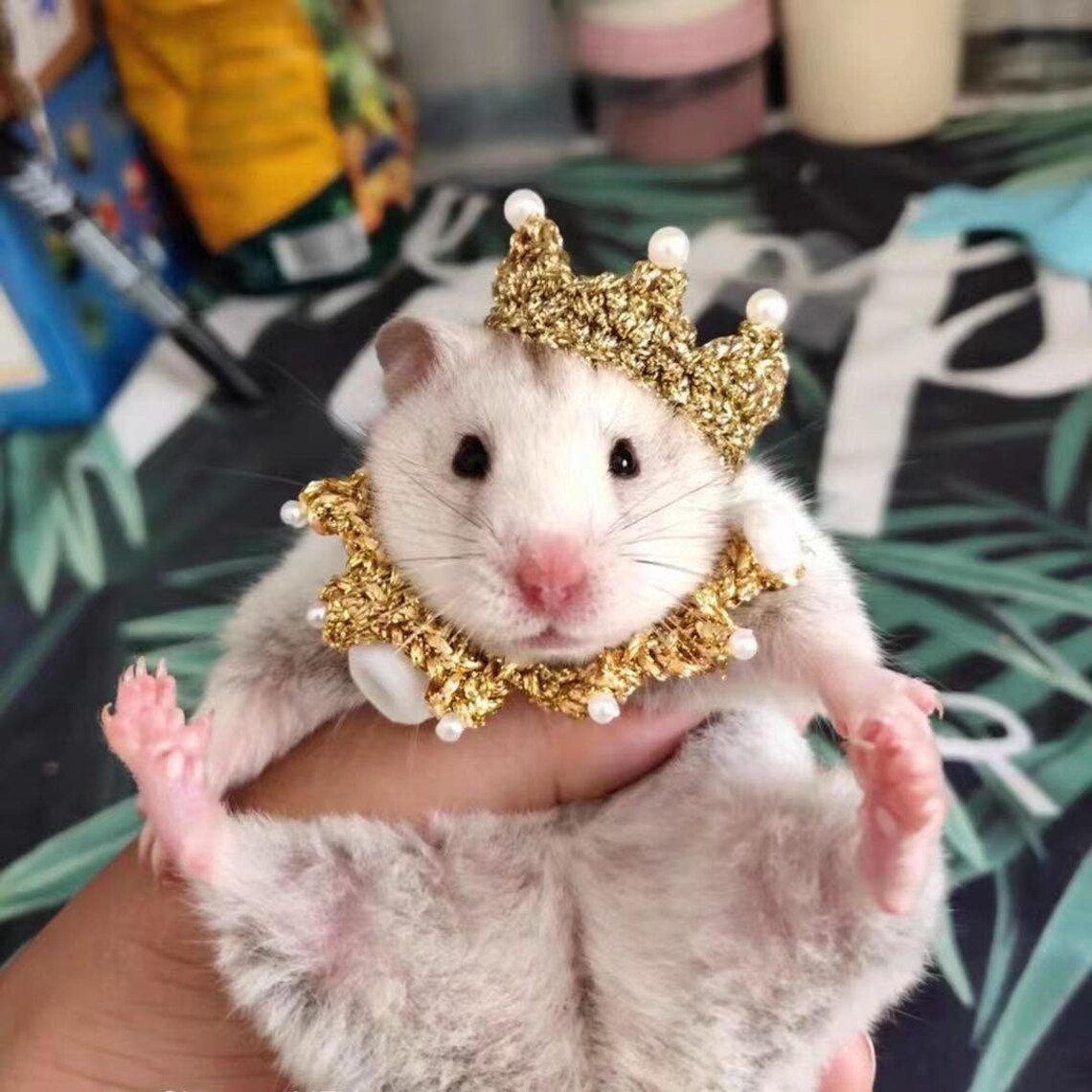 King Golden Crown Pet Hat - Etsy