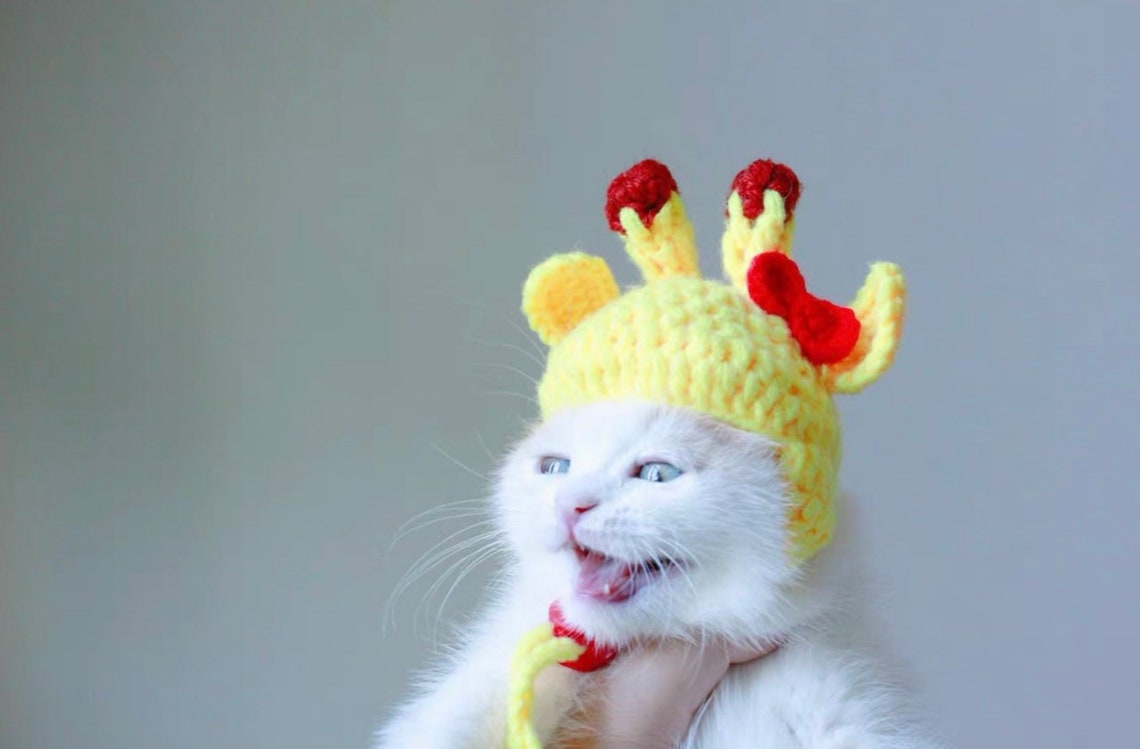 Giraffe Pet Hat Gifts -hedgehog/hamster/squirrel/guinea Pig/rat ...