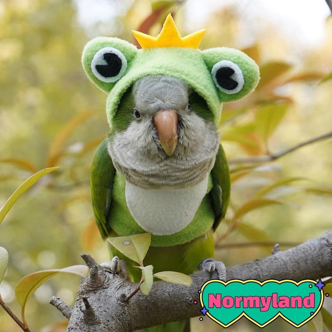 Handmade Parrot Bird Prince Frog Clothes With Diaper/shirt -quakers ...