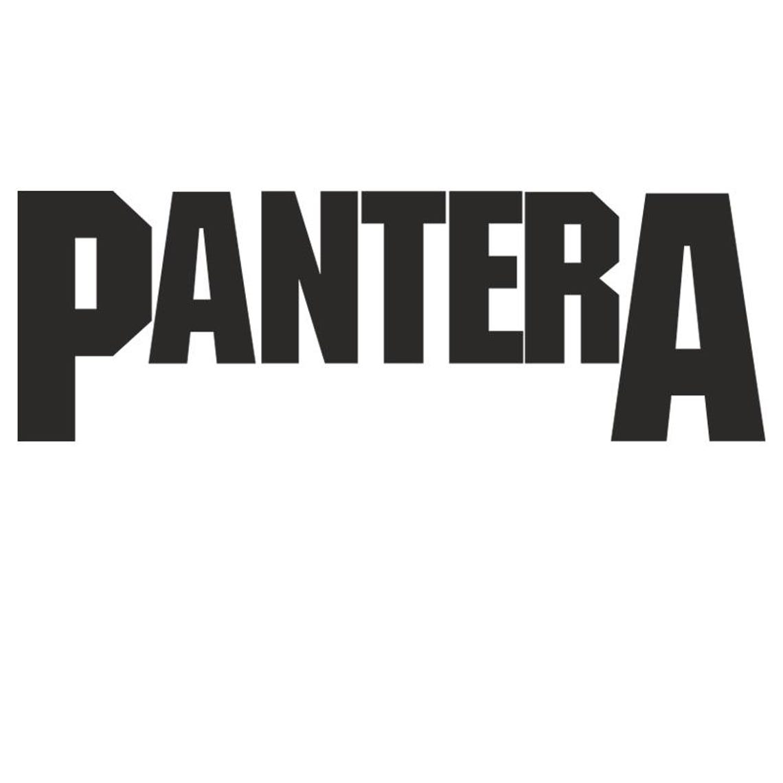 Pantera Logo , Vinyl Car Sticker , Bumper Sticker, Guitar Sticker ...