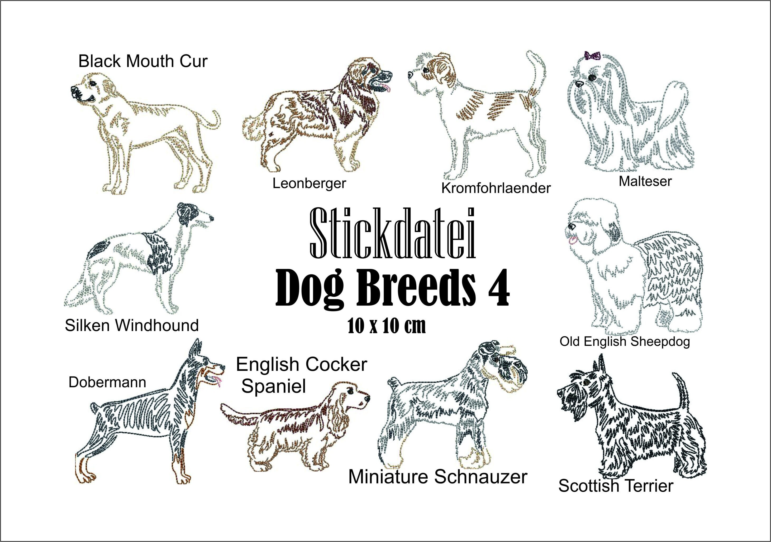 Stickdatei Dog Breeds 4 Größe 10 x 10 cm Leonberger - Etsy.de