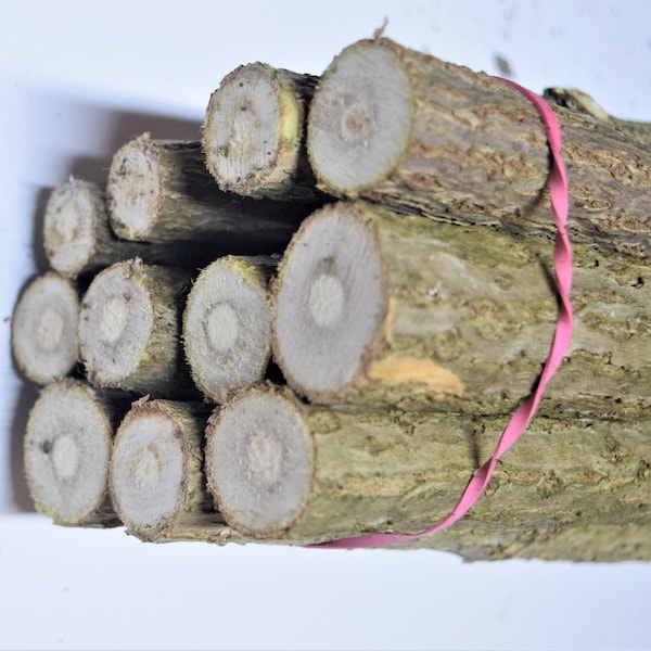 Wood Branches - Etsy