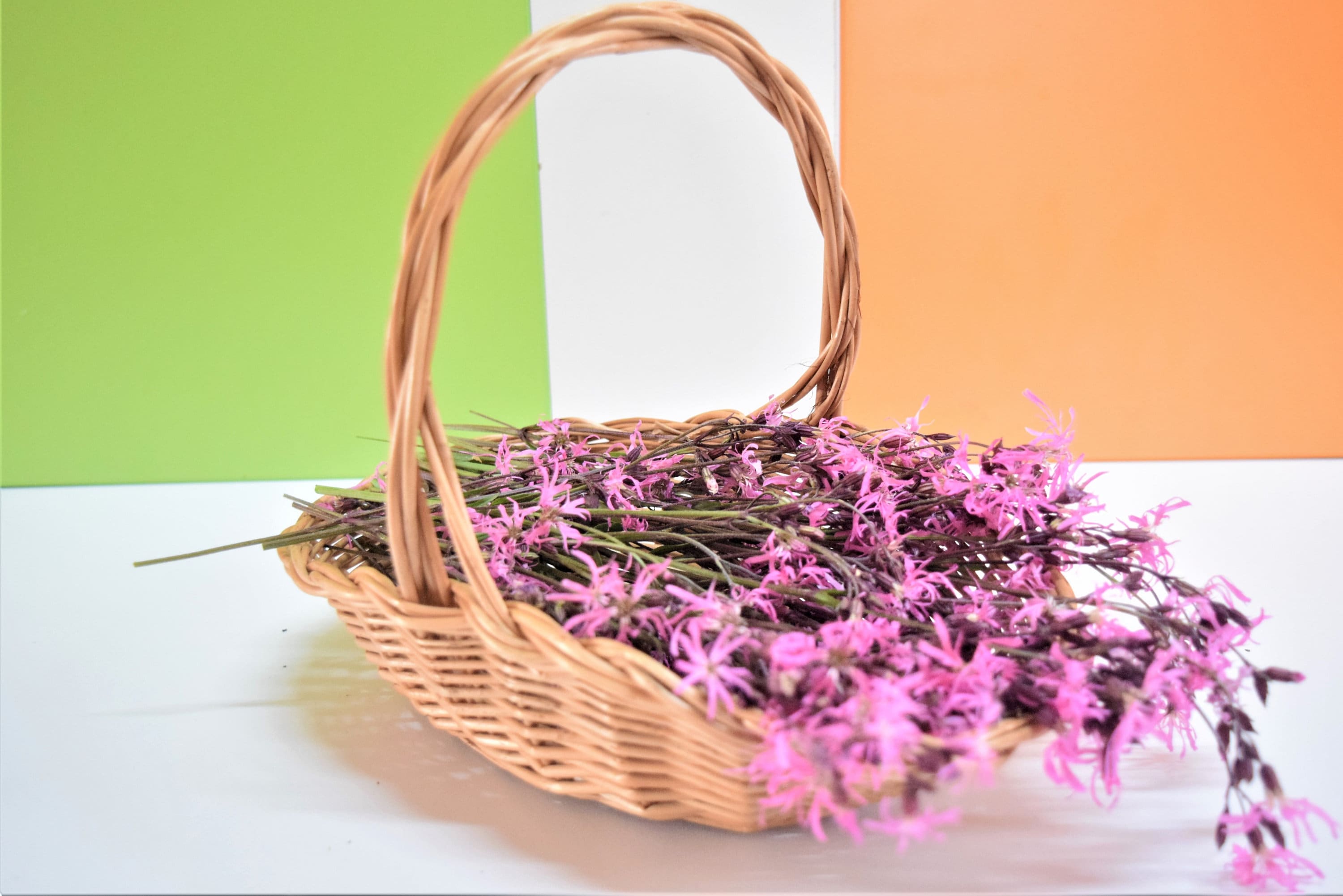 4x Flower Gathering Basket, Wicker Basket, Woven Basket, Willow Basket ...