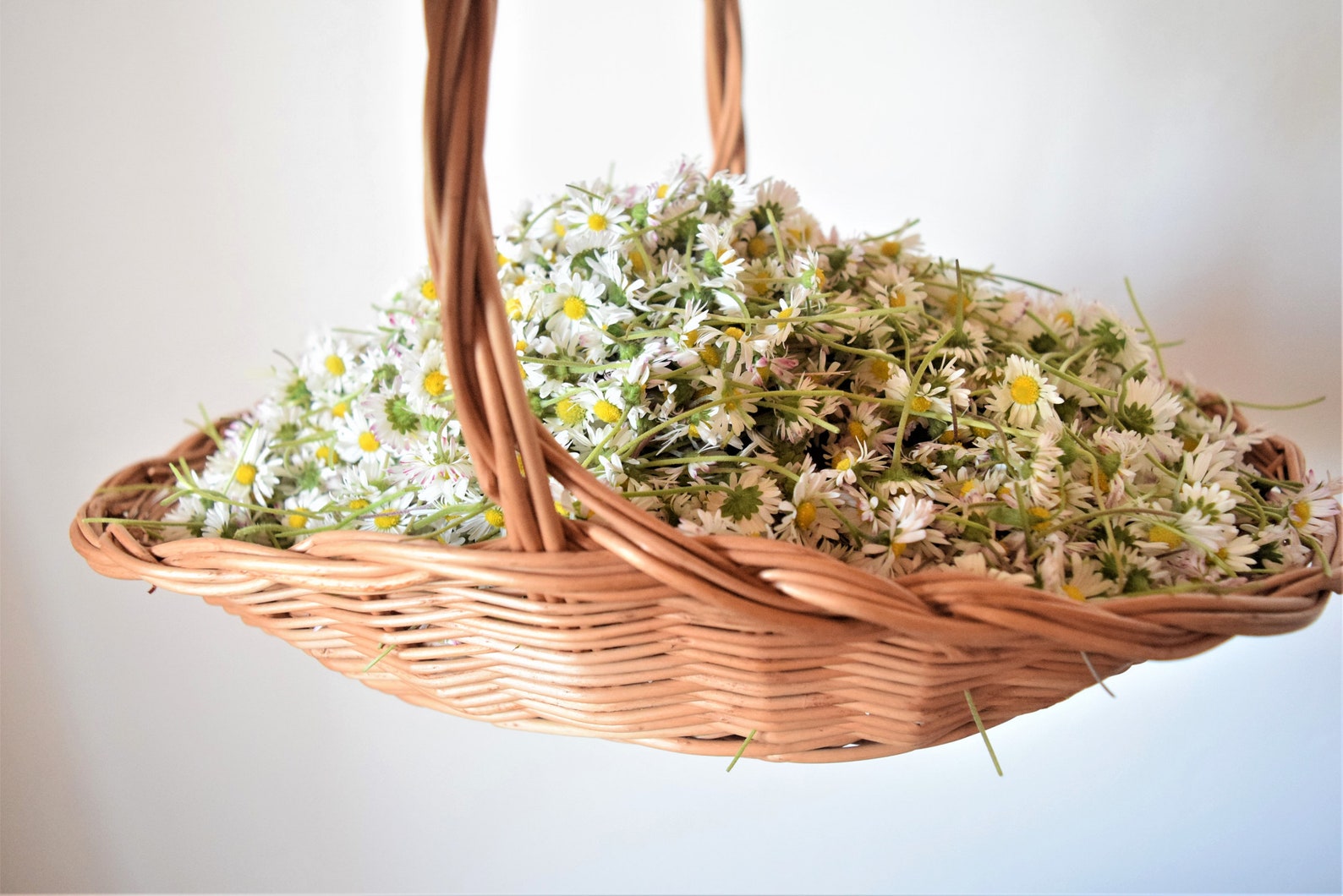 Flower Gathering Basket Wicker Basket Woven Basket Willow | Etsy