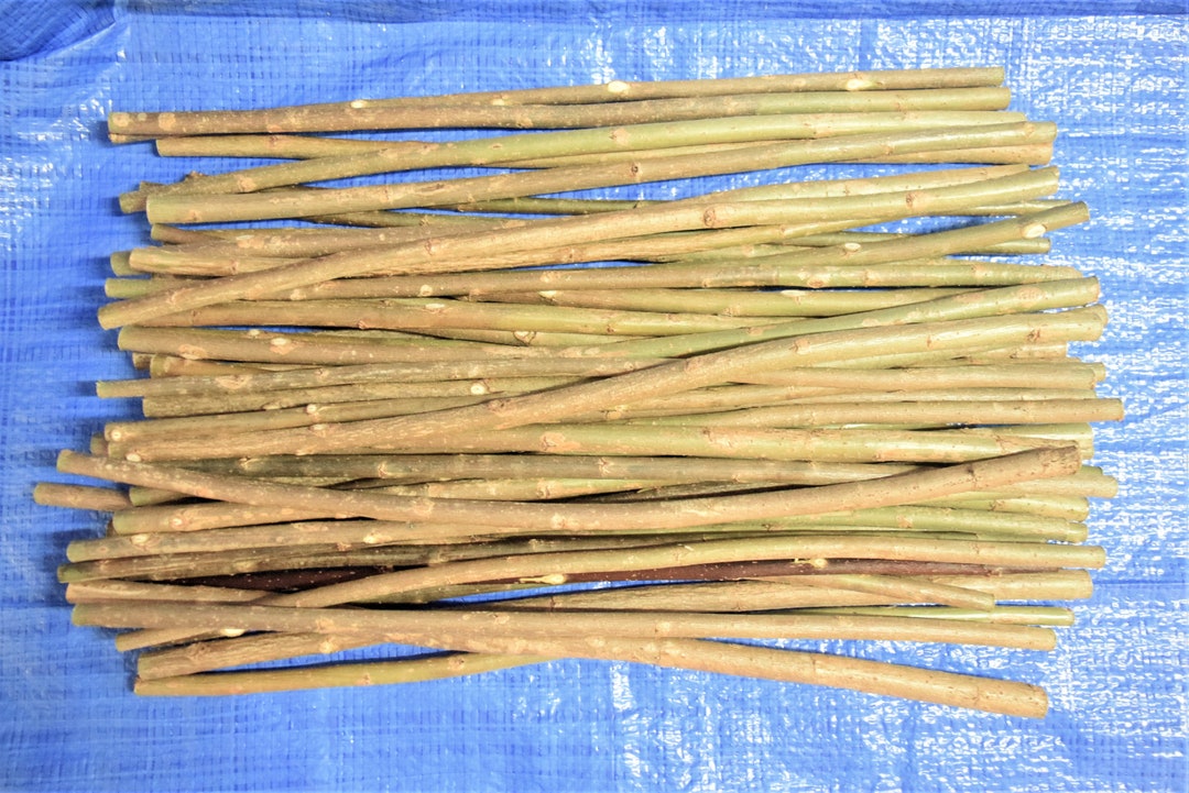 10x Thick 51 Cm (20 Inch) Willow Sticks With Bark, a Bundle of 10 ...