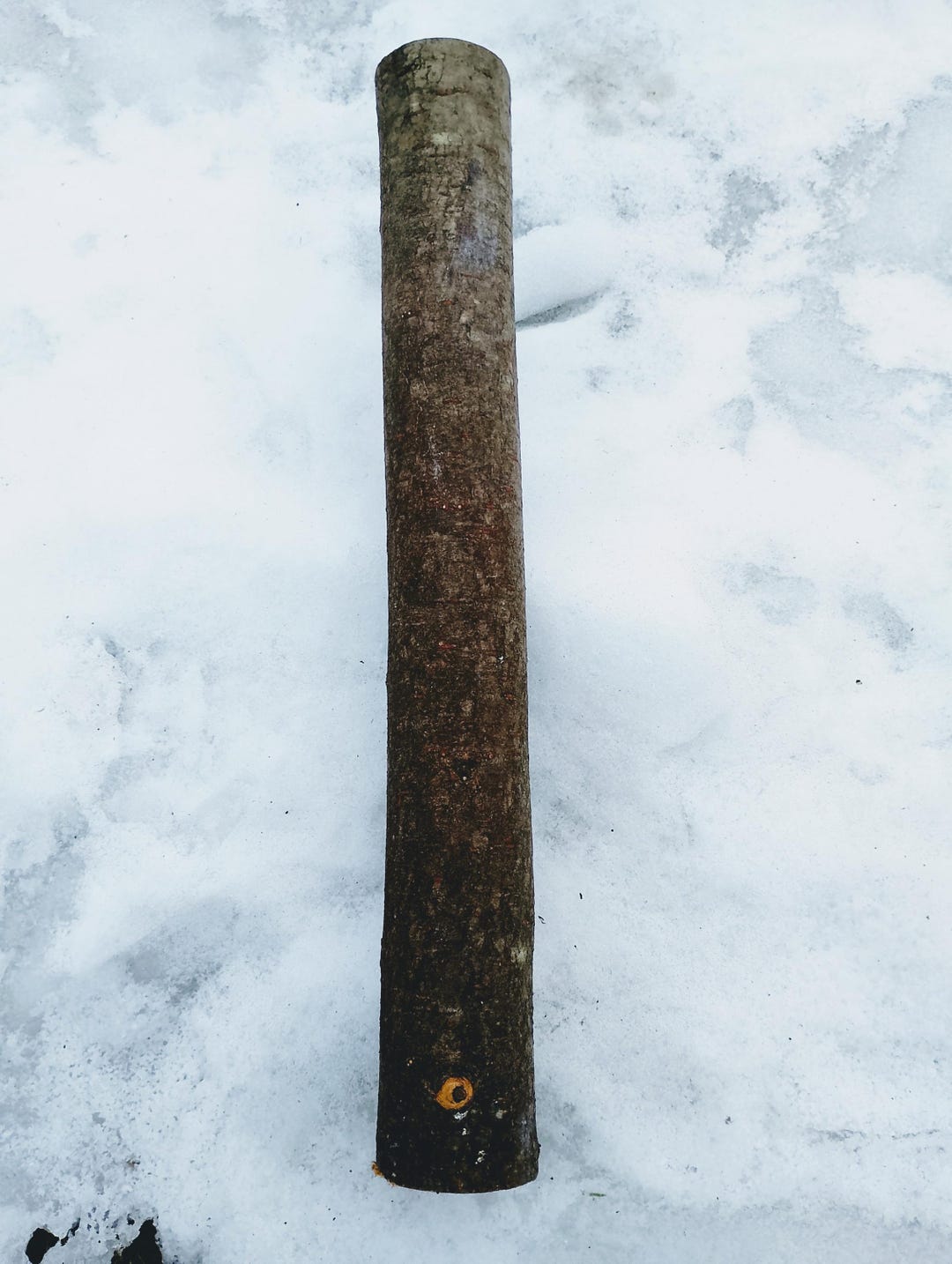 THICK Blackthorn Stick, Single Superb Quality Blackthorn Stick, Real ...