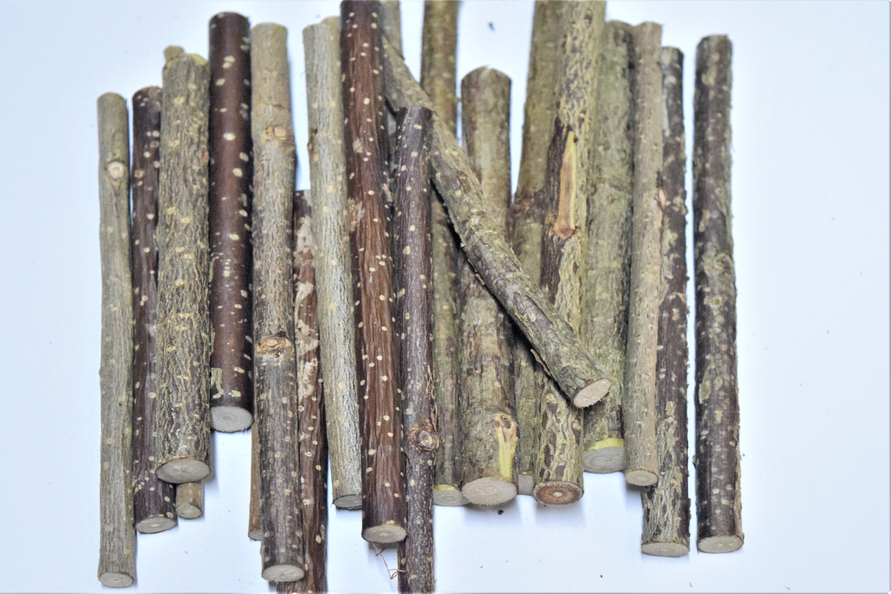 Organic Hazel Chews 14 Oz-400g Package of 50-70 Sticks 5-6 | Etsy