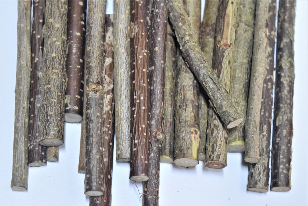 Organic Hazel Chews, 14 Oz-400g Package of 50-70 Sticks, 5-6 Inch Long ...