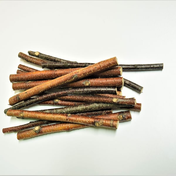 Birch Sticks - Etsy