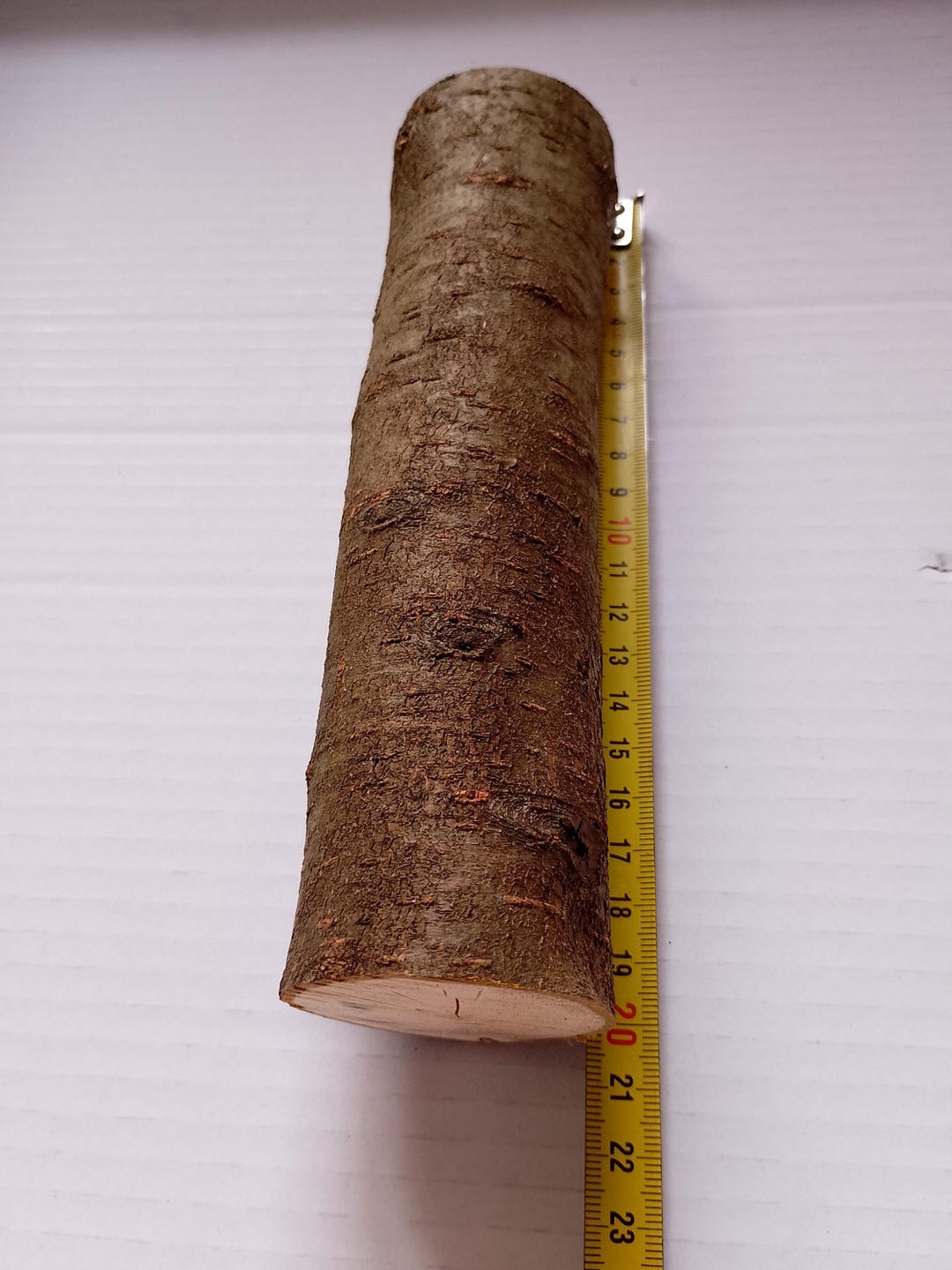 THICK Blackthorn Stick, Single Superb Quality Blackthorn Stick, Real ...