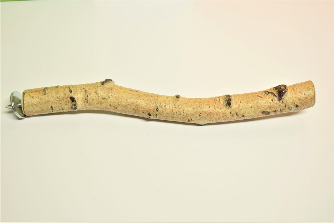 Cage Mounted Perch for All Birds, Small Parrots, Budgies, Cockatiels ...