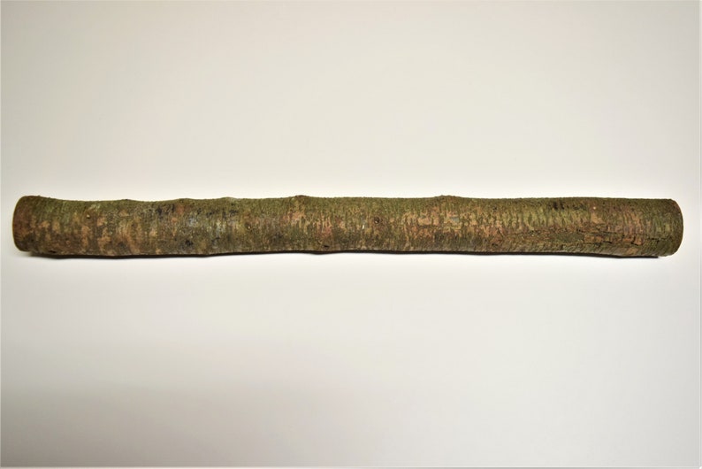 THICK Blackthorn Stick, Single Superb Quality Blackthorn Stick, Real ...