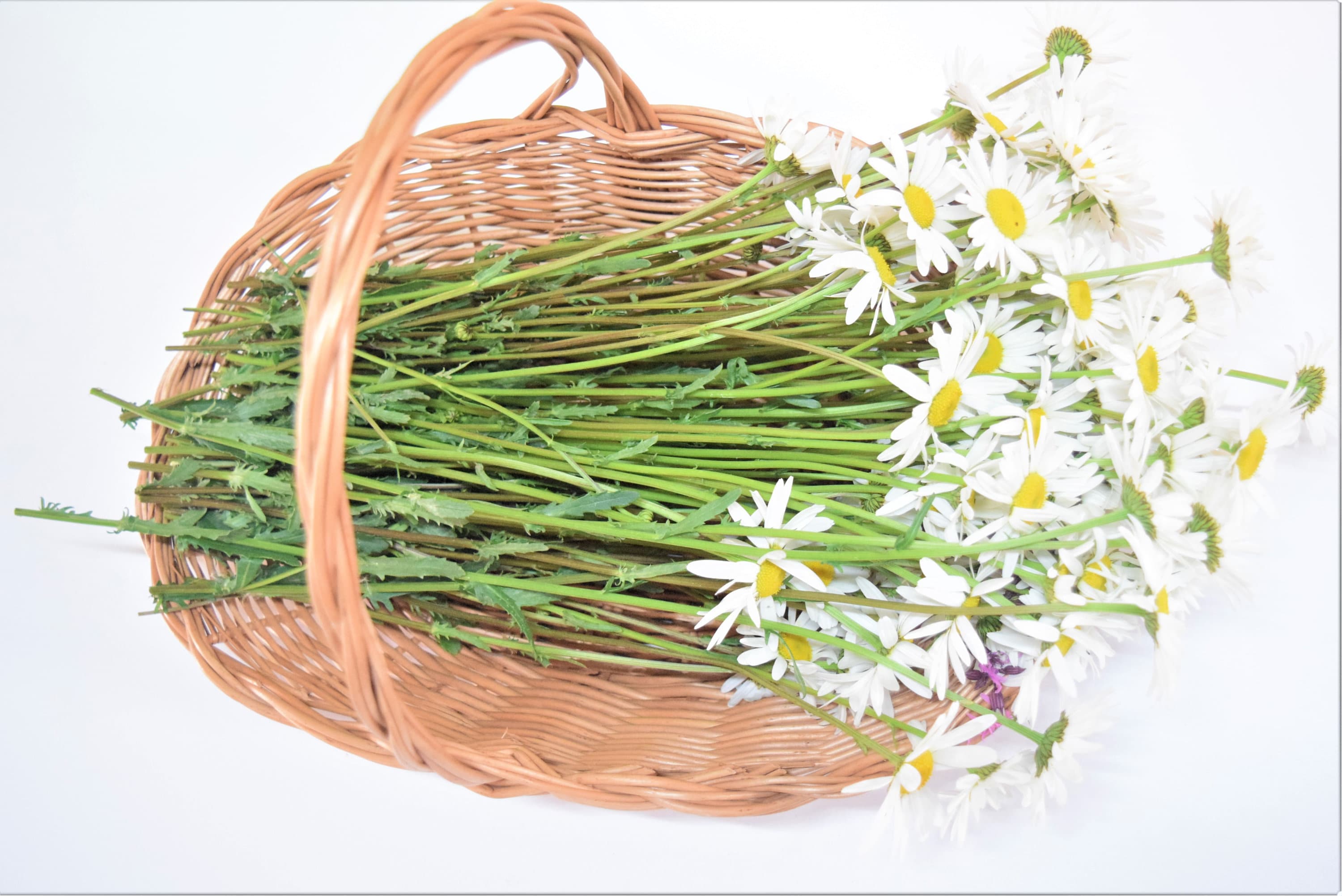 Flower gathering basket wicker basket woven basket willow | Etsy