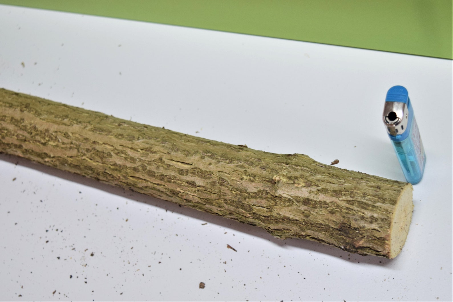 Thick Elder Stick 50 Cm 195 Inches Long Single Elder - Etsy