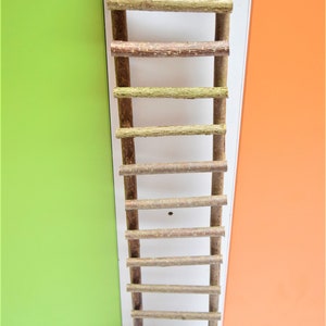 Log Ladder for Rats, Wooden Log Ladder for Hamsters, Gerbils, Parrots ...
