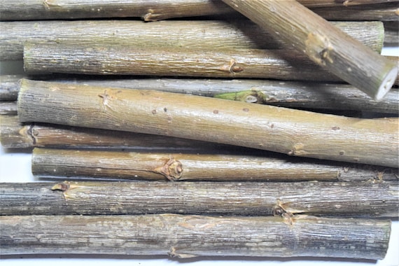 Organic Willow Sticks 14 Oz-400g Package of 50-70 Sticks 5-6 - Etsy