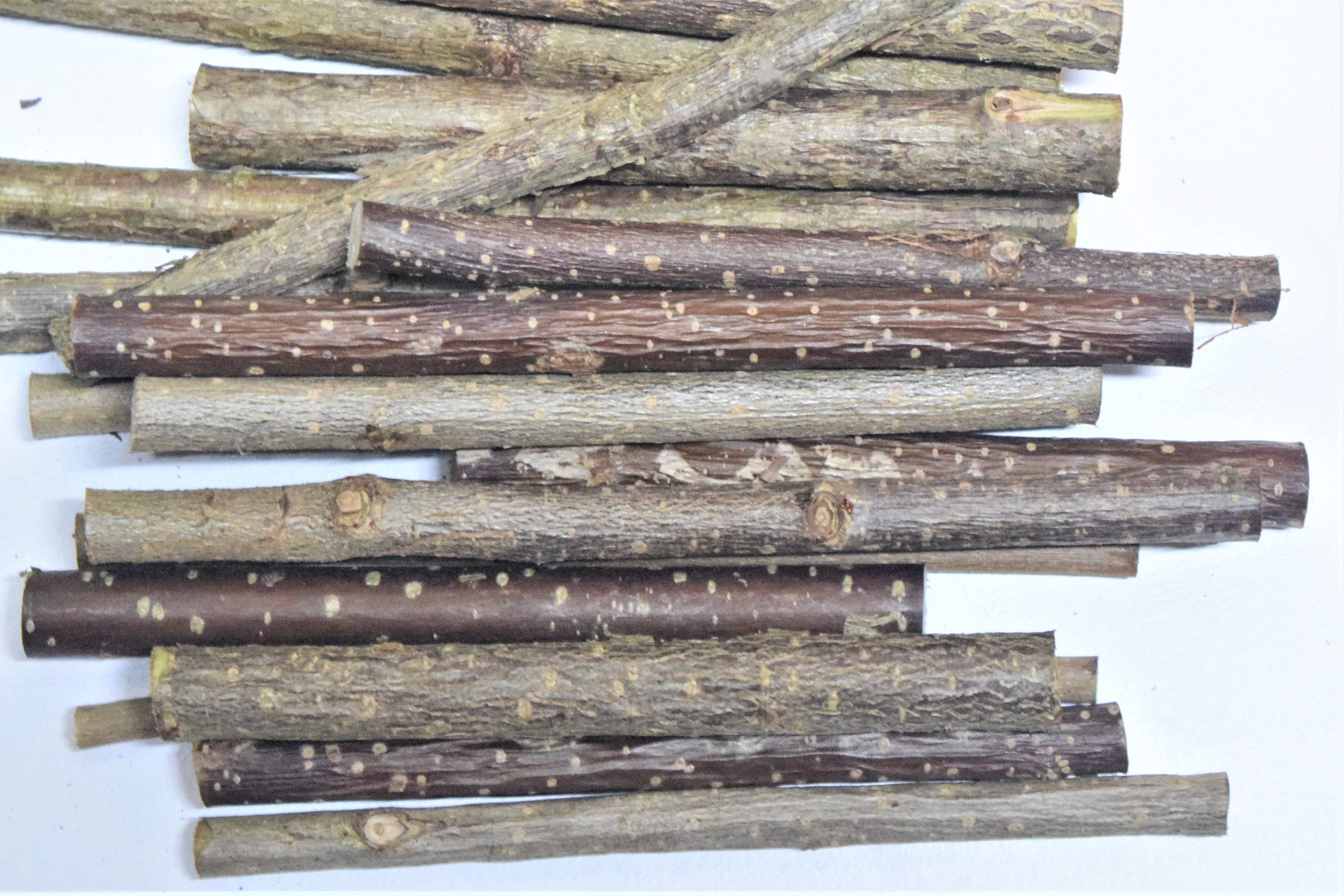 Organic Hazel Chews 14 Oz-400g Package of 50-70 Sticks 5-6 | Etsy