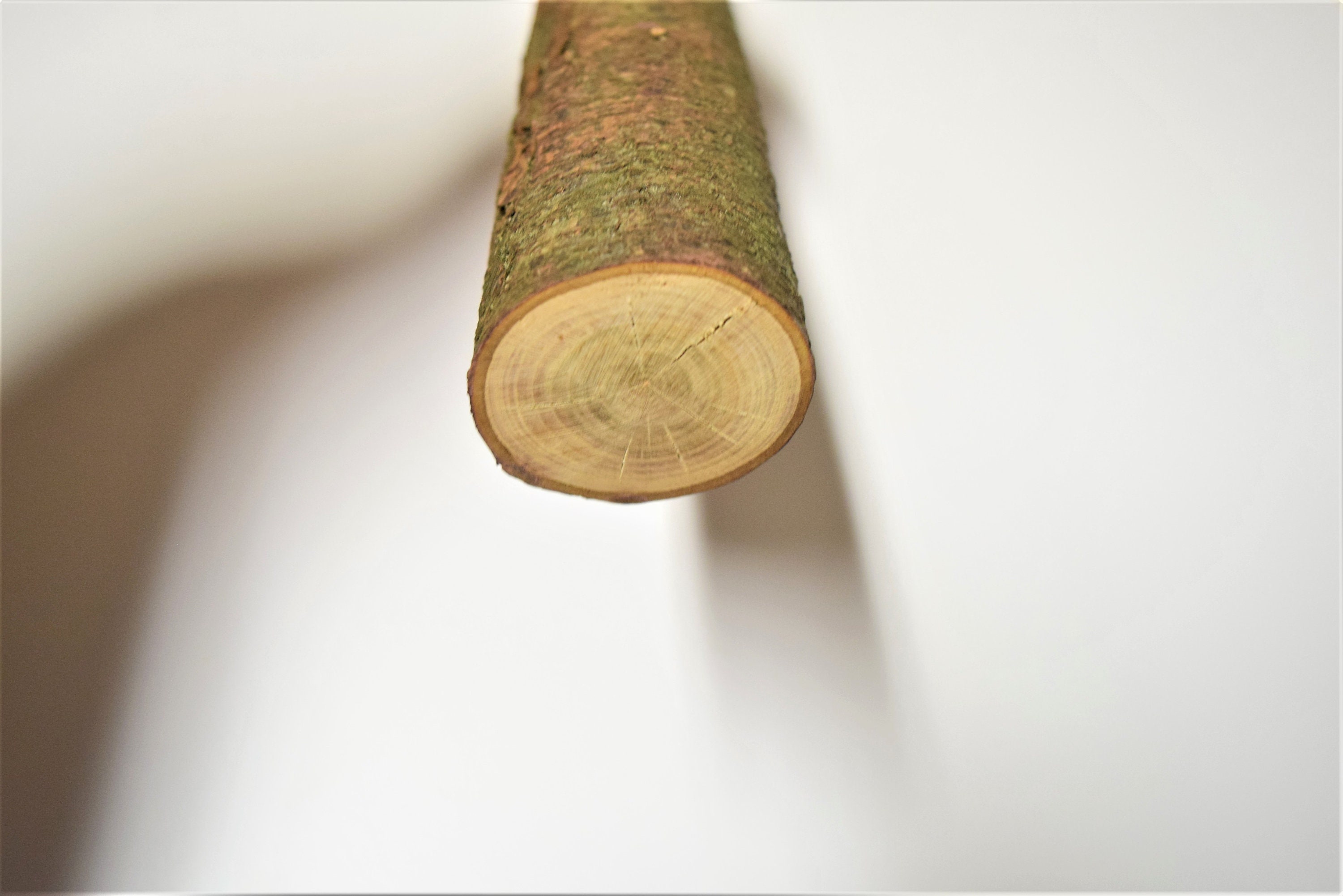 THICK Blackthorn Stick, Single Superb Quality Blackthorn Stick, Real ...