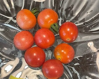 Santa Cherry Tomato Seeds - Etsy