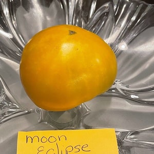 Moon Eclipse AKA Lunar Eclipse Tomato Seeds RARE - Etsy