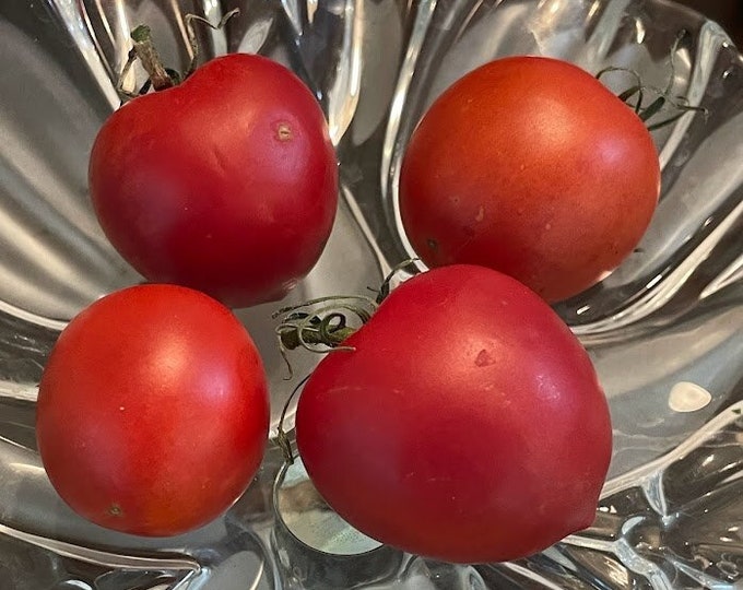 Clint Eastwood's Rowdy Red Tomato Seeds - Etsy
