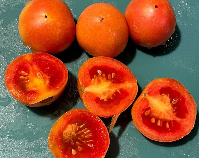 Rama De Mallorca Tomato Seeds - Etsy