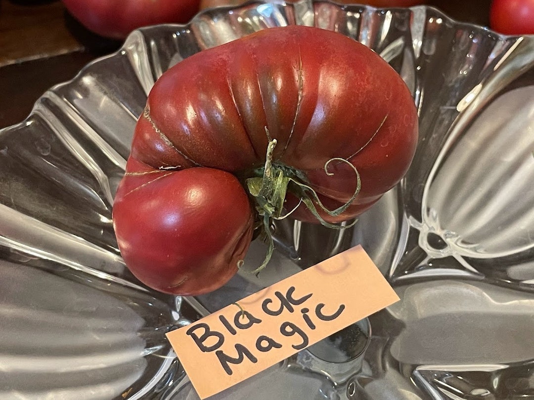 Black Magic Tomato Seeds - Etsy