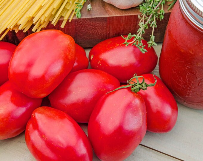 Amish Paste Tomato Seeds - Etsy