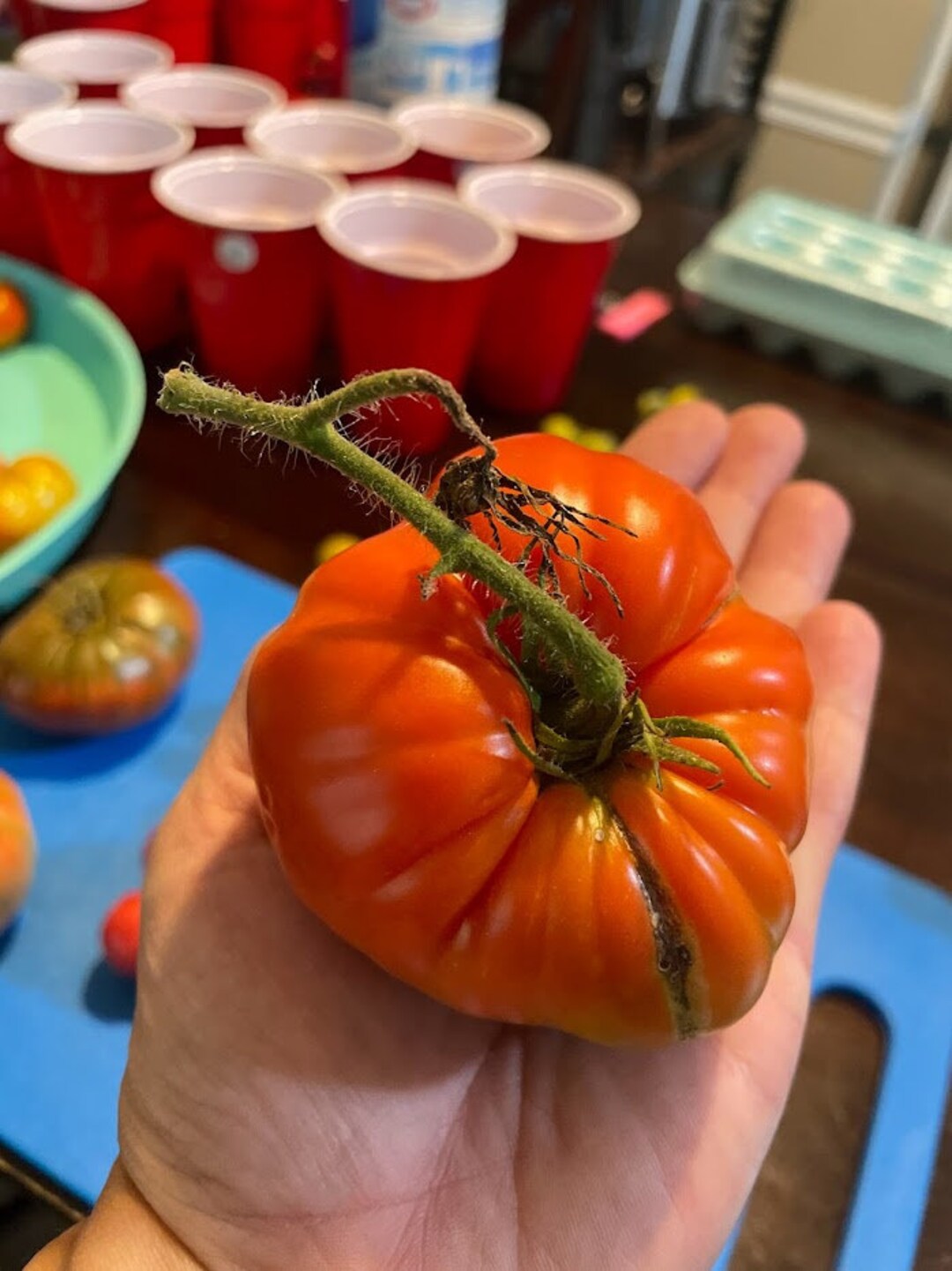 Big Ben Tomato Seeds - Etsy