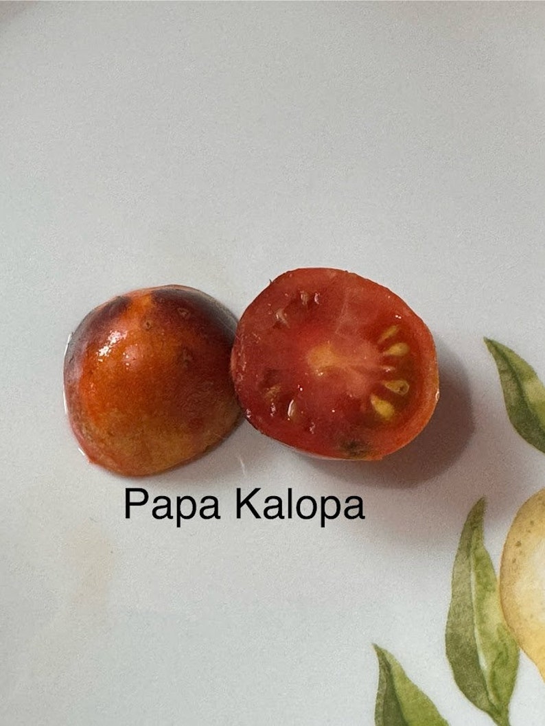 Papa Kalopa Tomato Seeds - Etsy