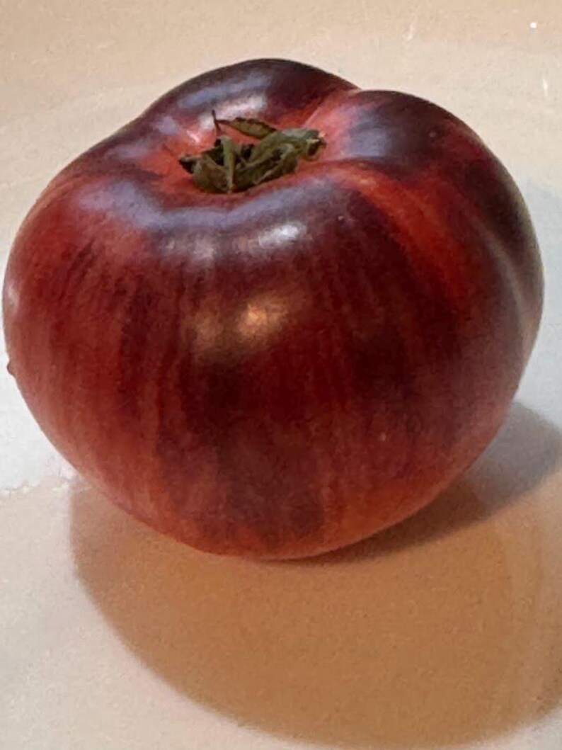 Showstopper Tomato Seeds - Etsy