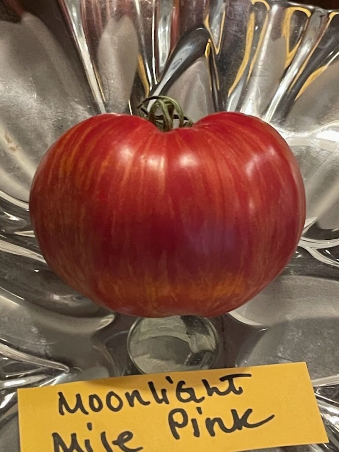 Moonlight Mile Pink Variegated Tomato Seeds RARE - Etsy