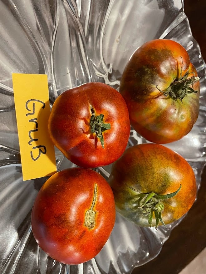 GRUB Tomato Seeds Rare Russian Variety - Etsy
