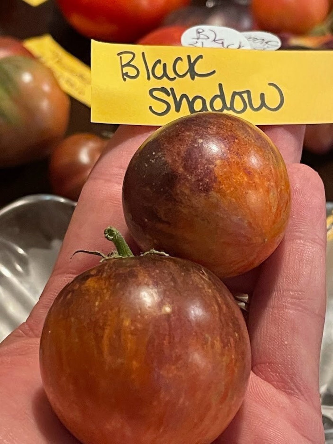 Black Shadow Tomato Seeds RARE - Etsy