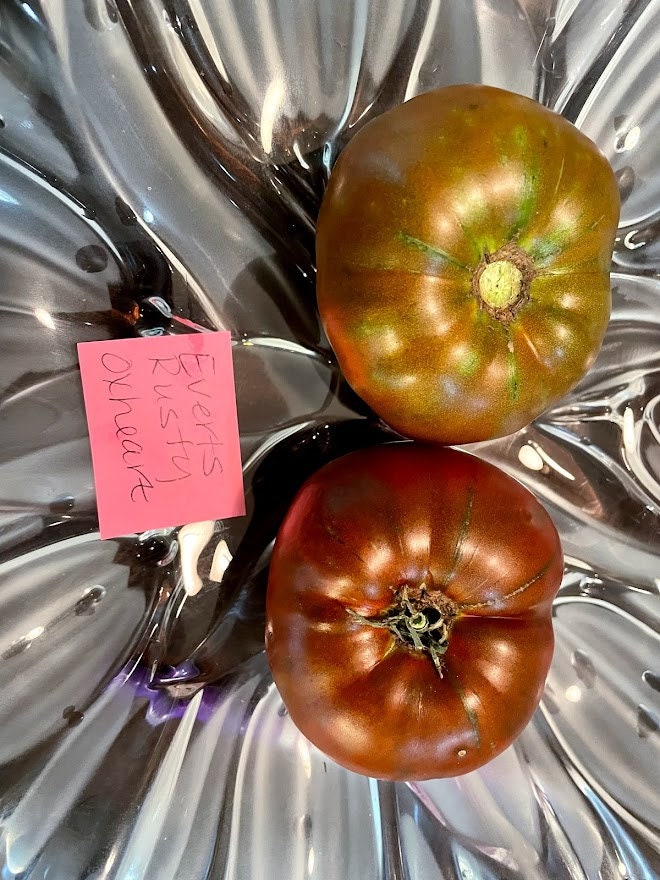 Everett's Rusty Oxheart Tomato Seeds - Etsy