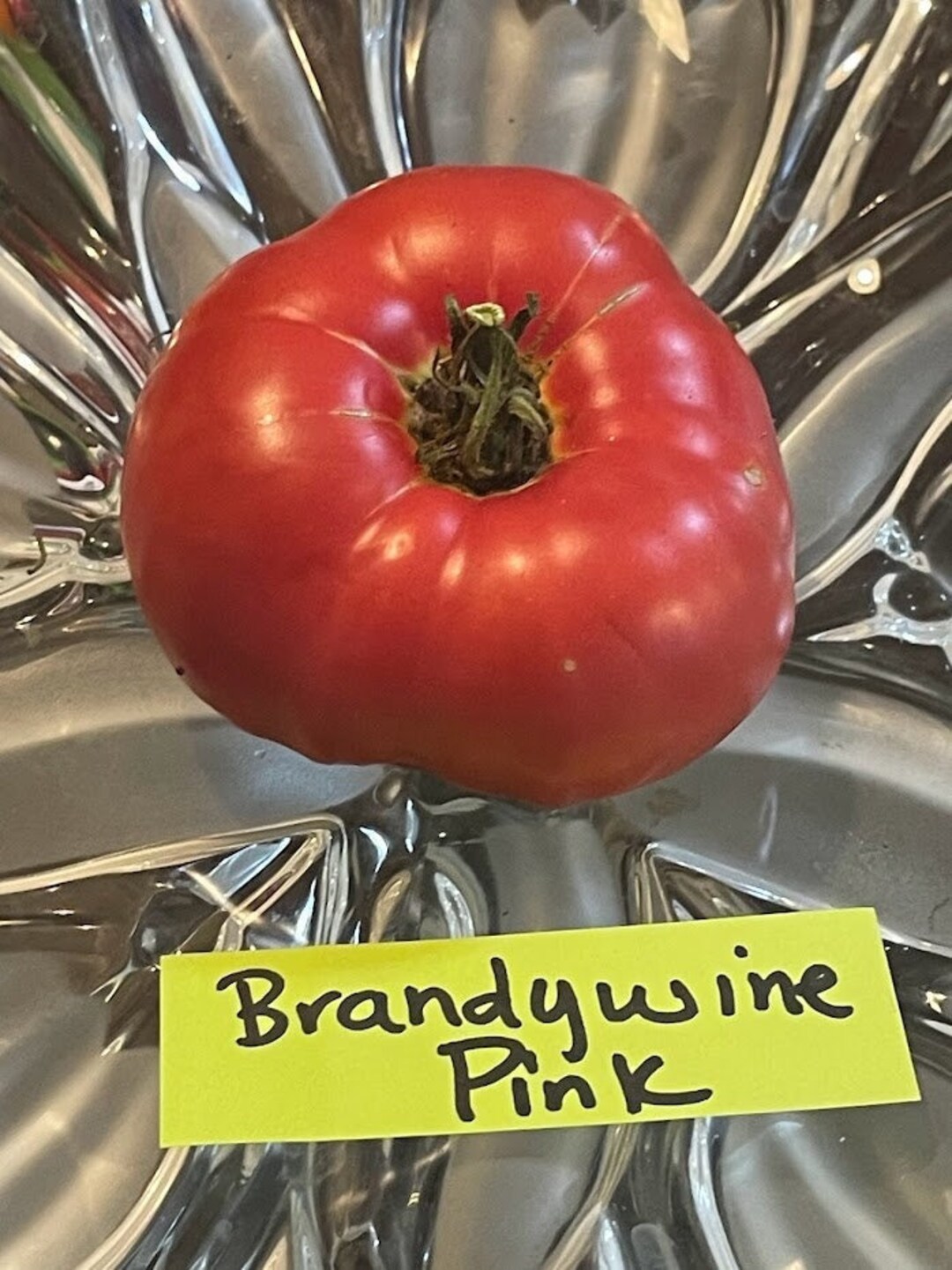 Brandywine Pink Tomato Seeds - Etsy