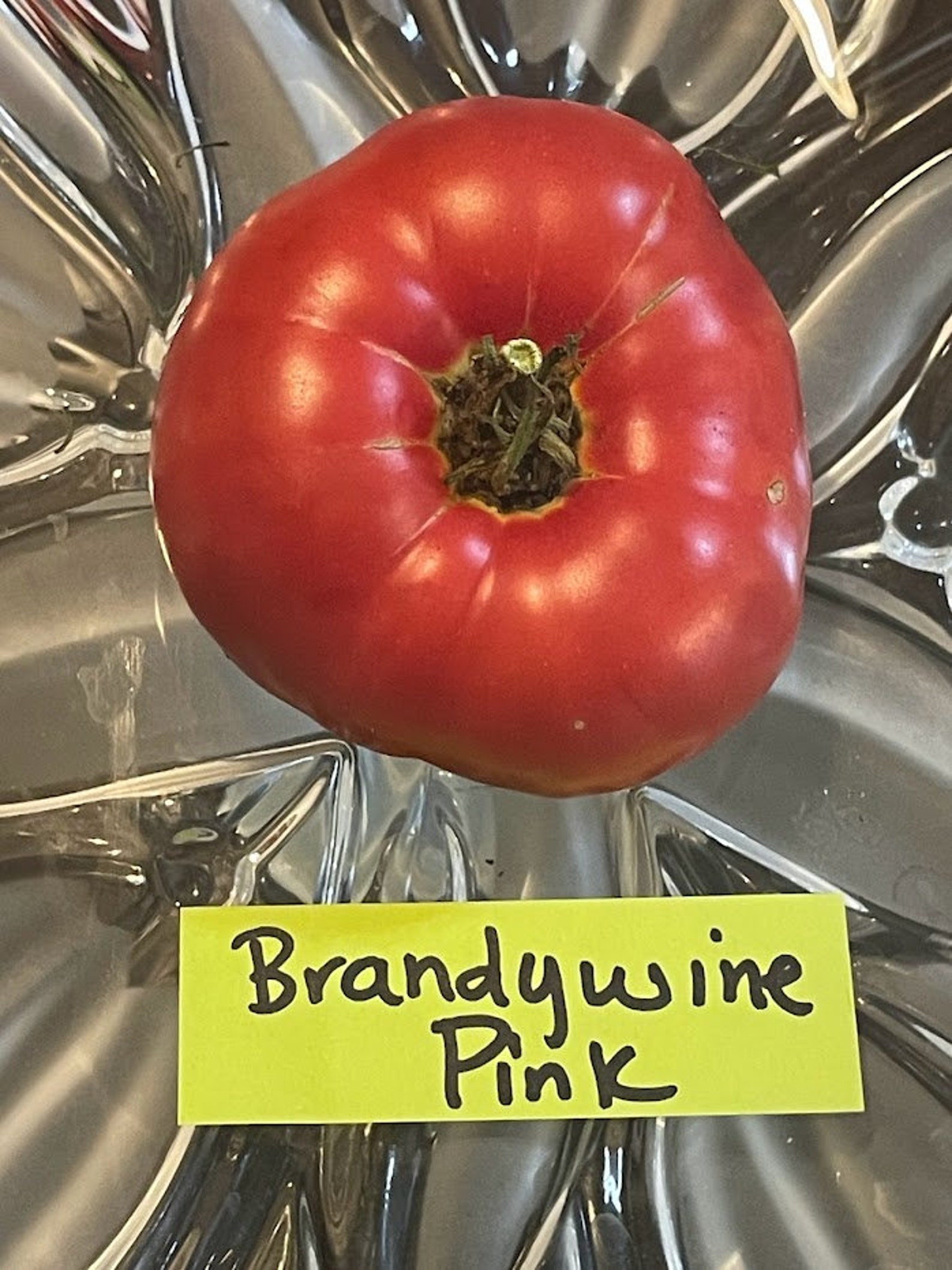 Brandywine Pink Tomato Seeds - Etsy
