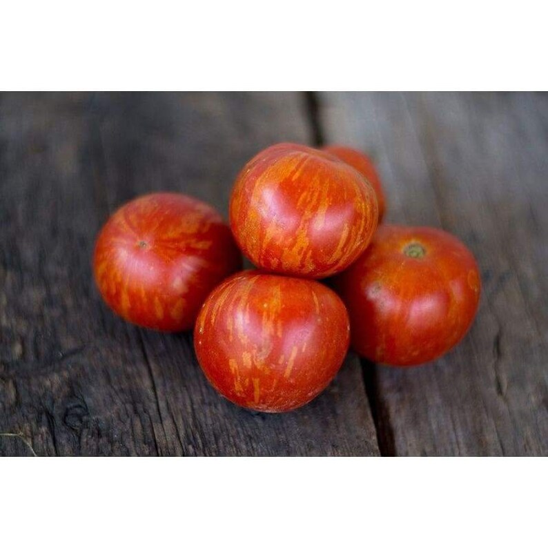 Tigerella Heirloom Tomato Seeds - Etsy