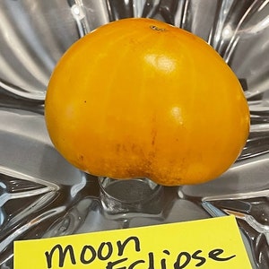 Moon Eclipse AKA Lunar Eclipse Tomato Seeds RARE - Etsy