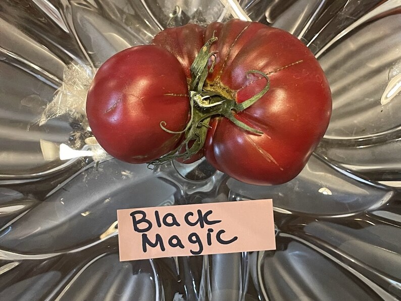 Black Magic Tomato Seeds - Etsy