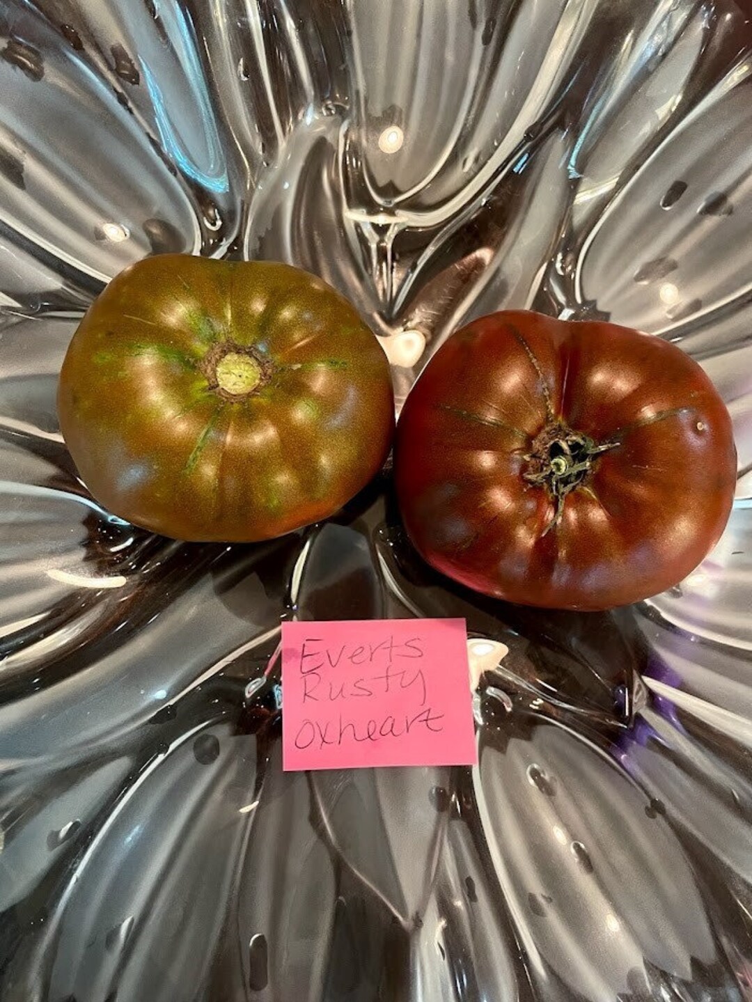 Everett's Rusty Oxheart Tomato Seeds - Etsy